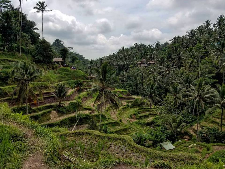 Beautiful Bali- what better way to start off 2018? – Keeping up with Kinz